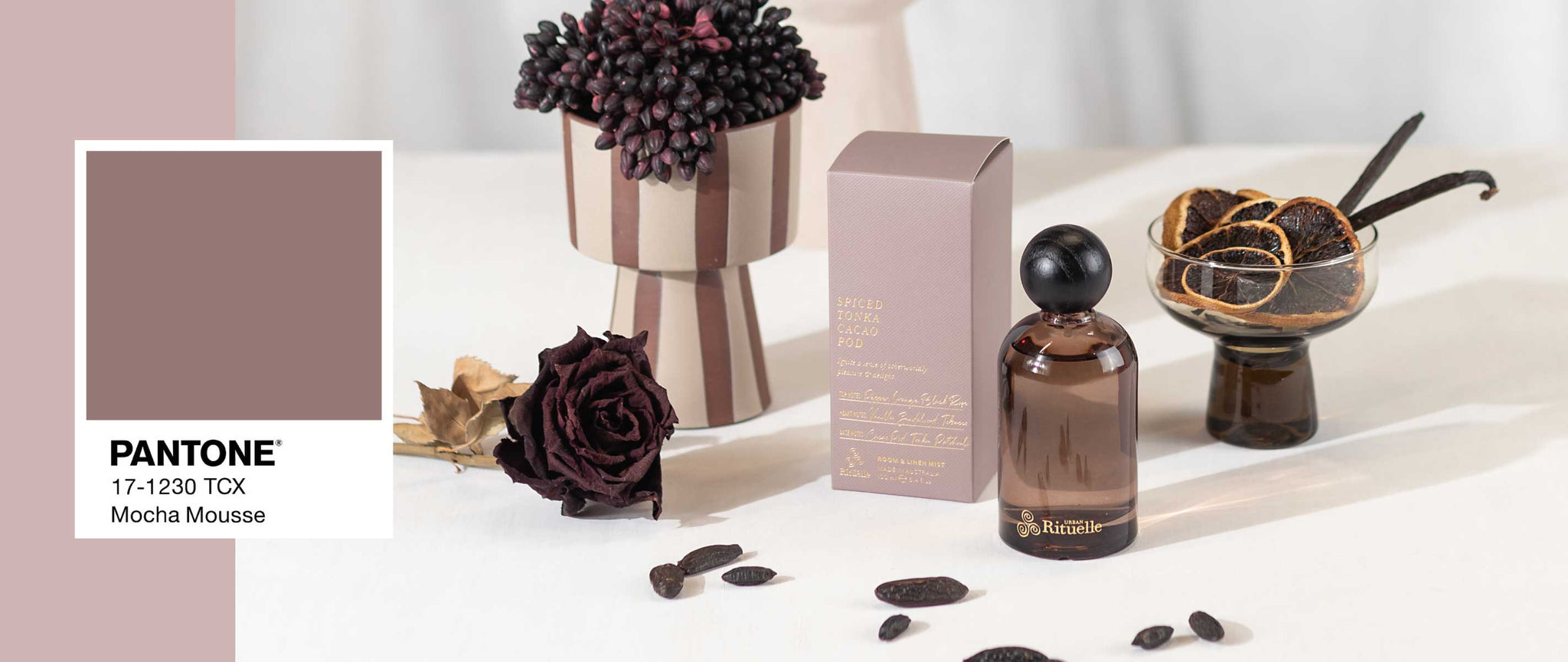 Mocha Mousse: Pantone’s Colour of the Year Meets Spiced Tonka & Cacao