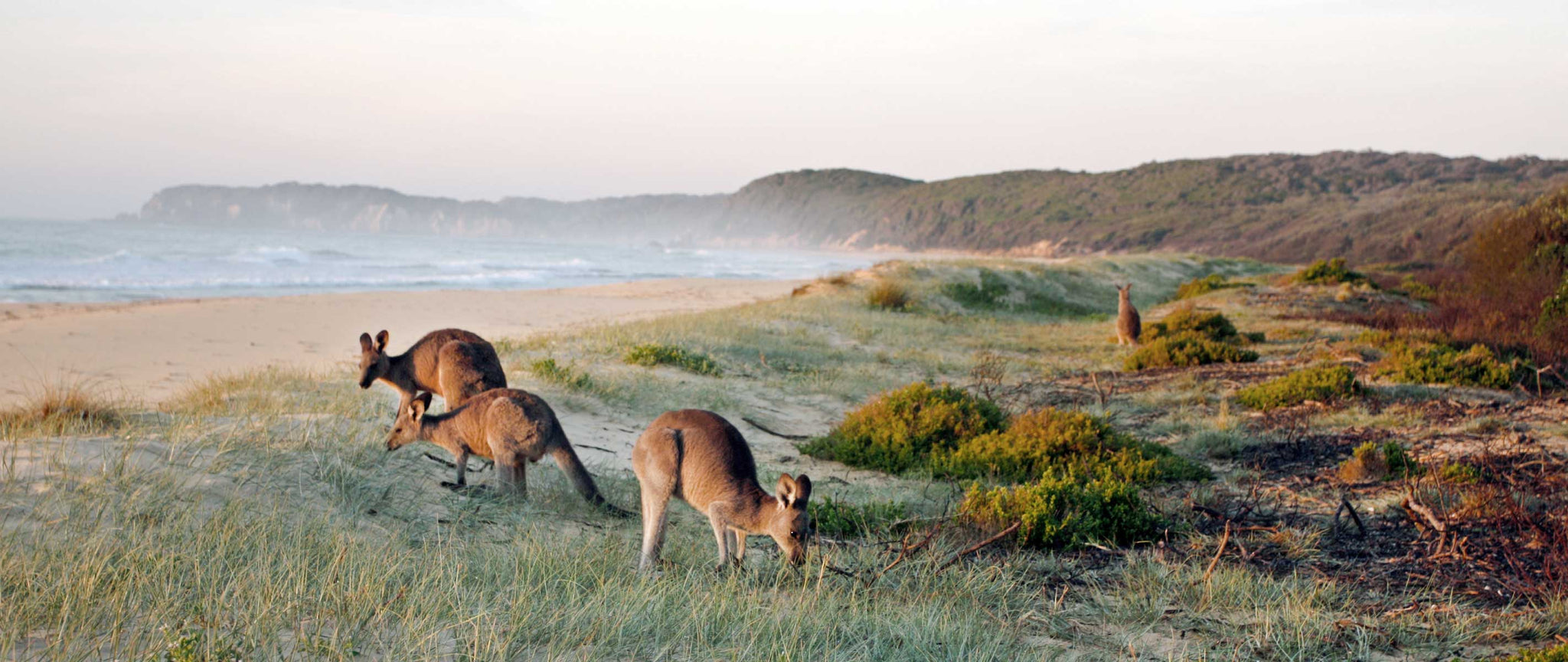 Australian Made Soy Candles | Handcrafted in Sydney by Urban Rituelle